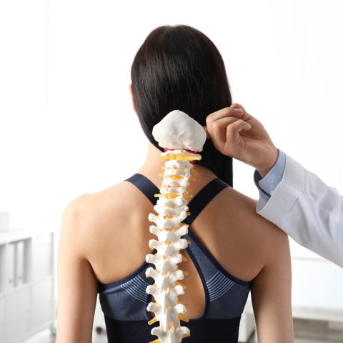 Bone Density Screening - VitalRay